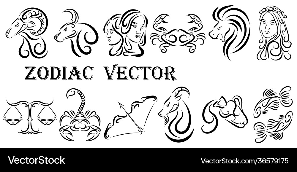 Zodiac Sign Line Art Royalty Free Vector Image