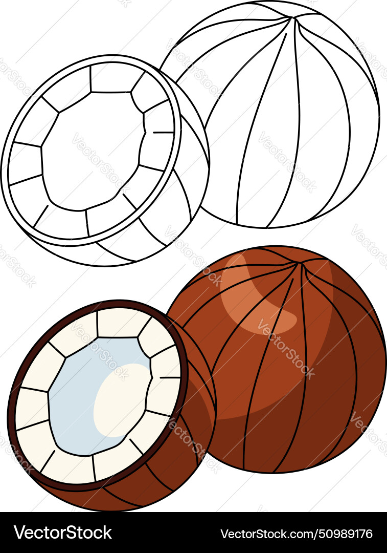 Coconut isolated hand drawn coloring page for kids