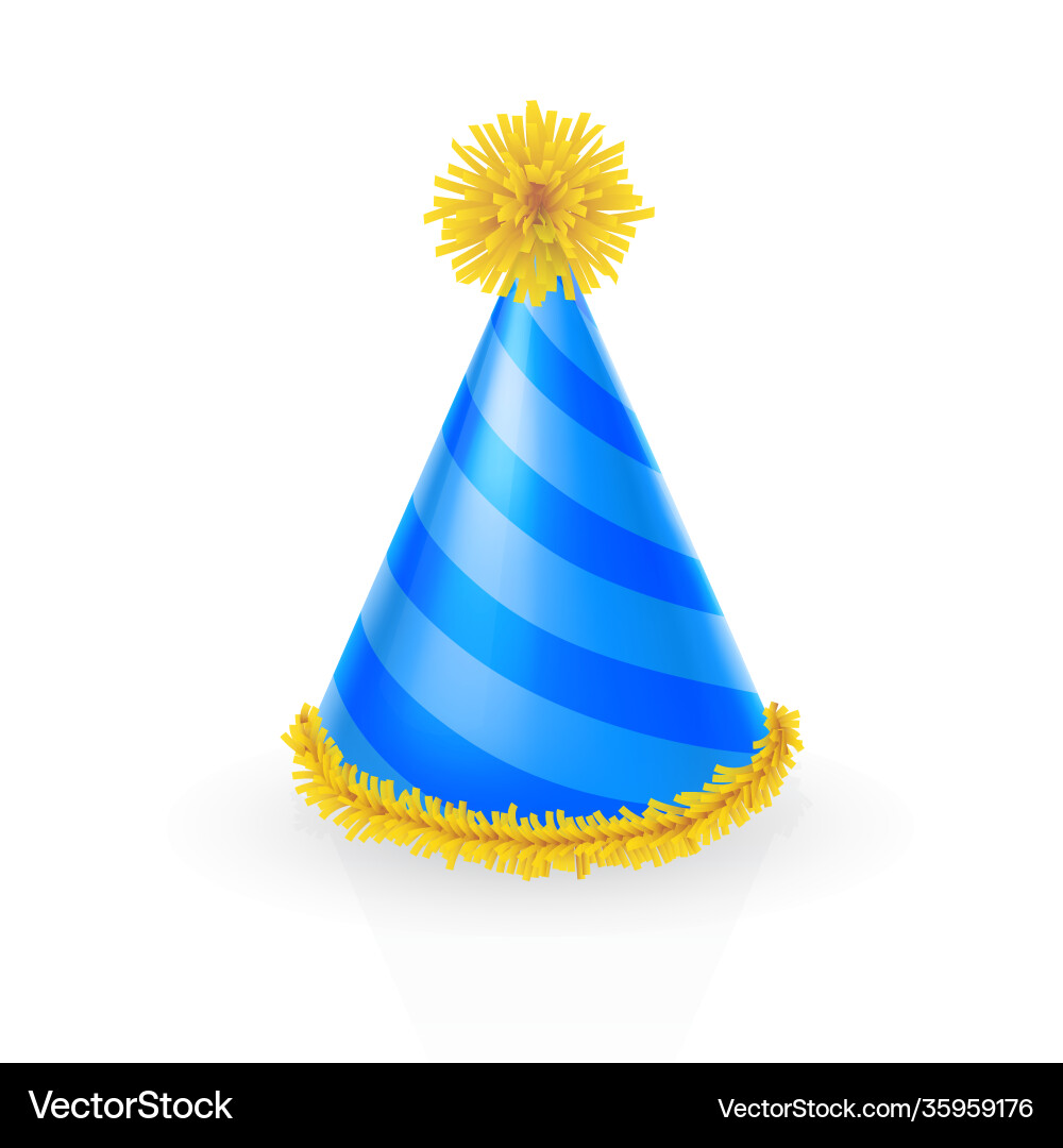 Decorated party hat Royalty Free Vector Image - VectorStock