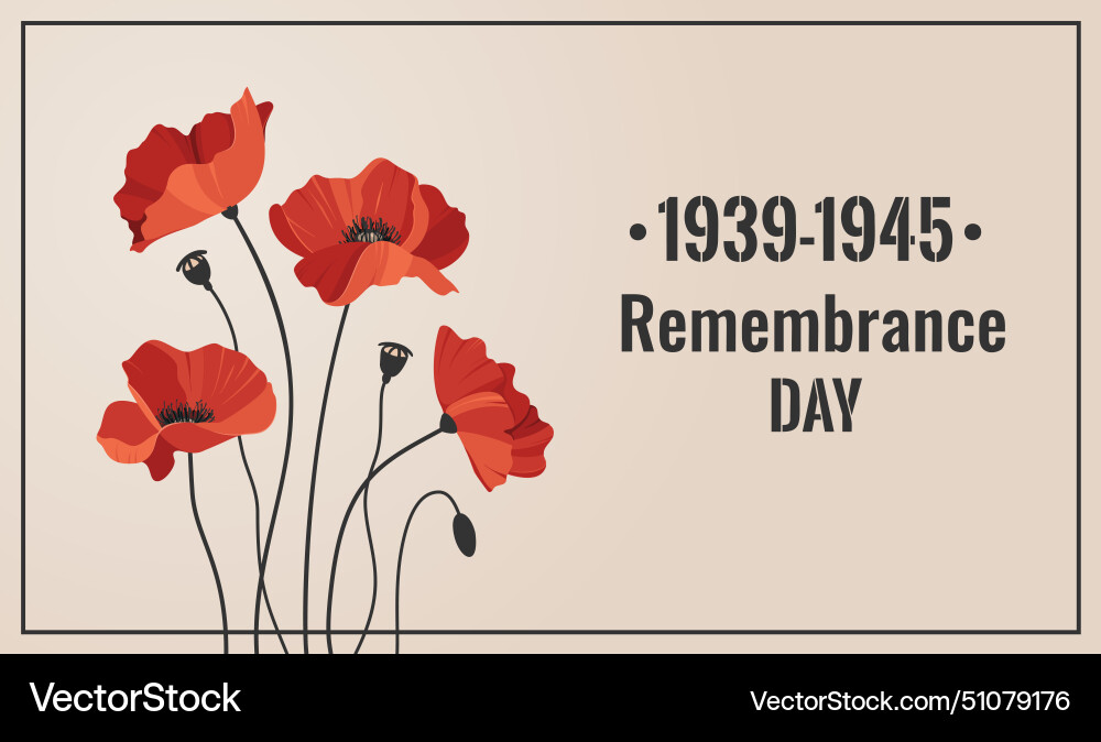 Red poppy flowers with remembrance day text Vector Image