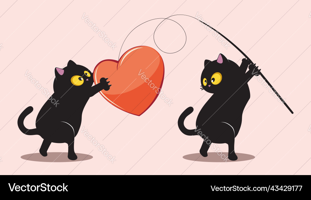 Black cat couple catch a heart Royalty Free Vector Image