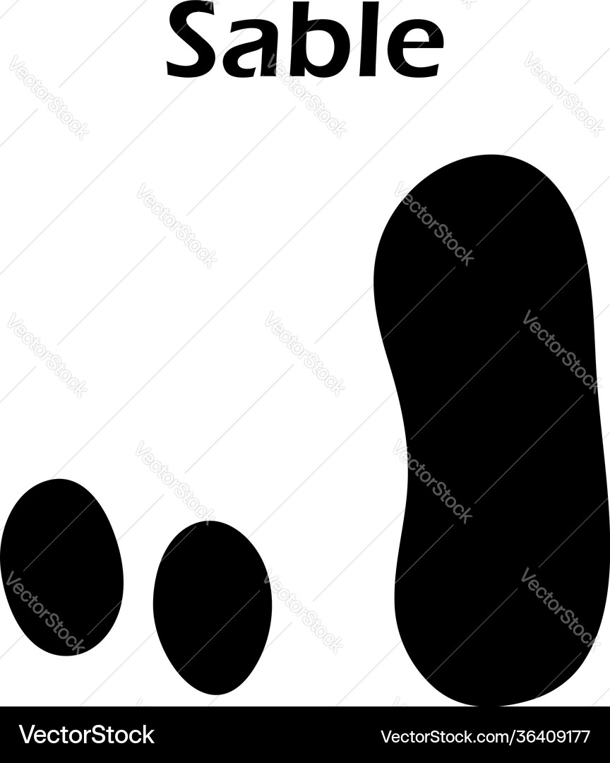 Sable footprint Royalty Free Vector Image - VectorStock