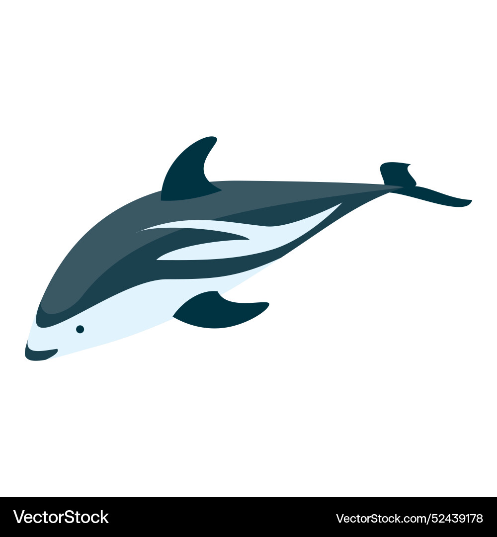3d isometric flat set of types dolphins Royalty Free Vector