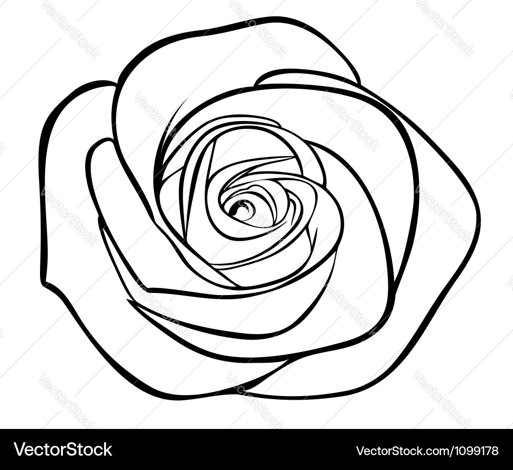 Single Stem Rose Outline Vector Images (over 540)