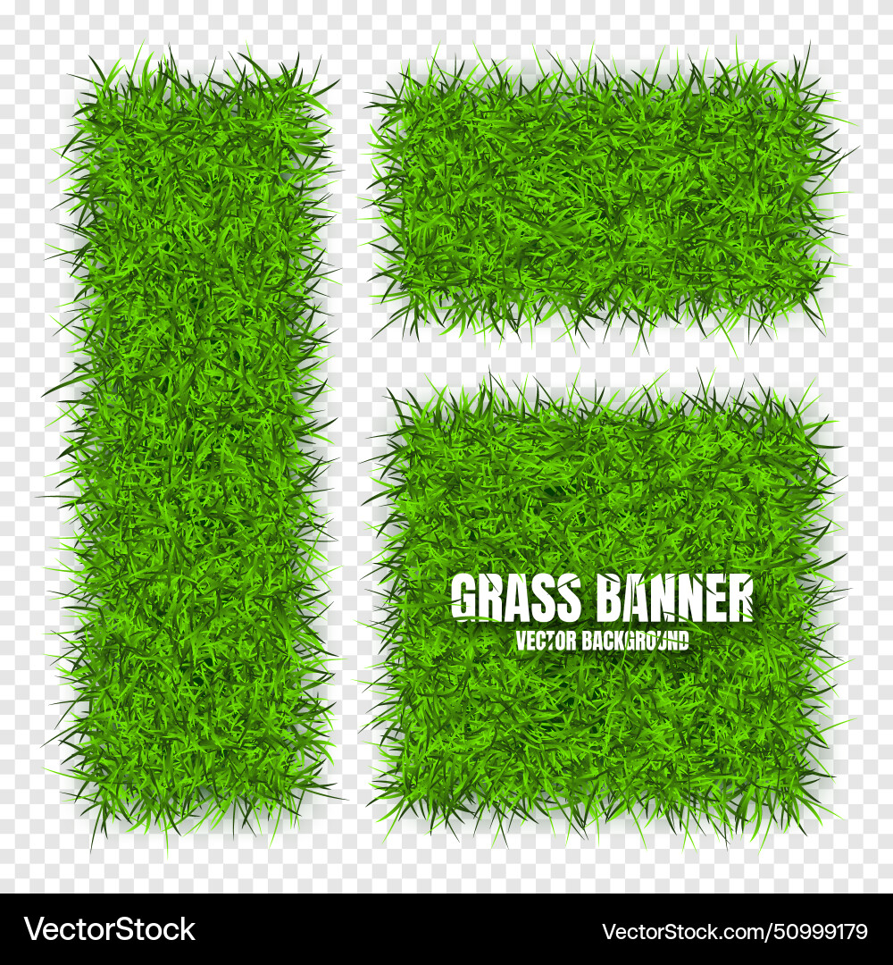 Green grass banners background field meadow Vector Image