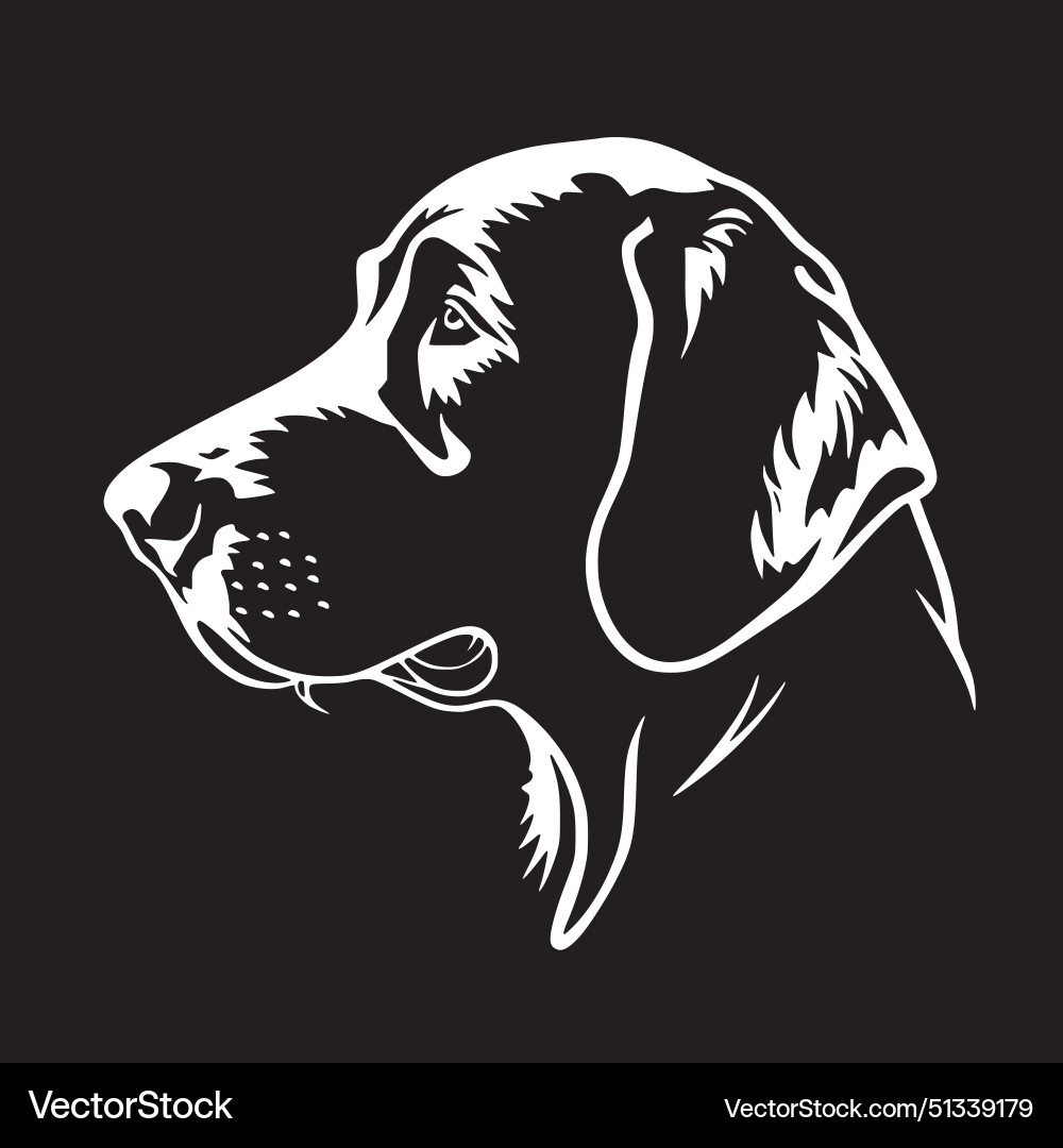 Labrador retriever - black and white isolated Vector Image