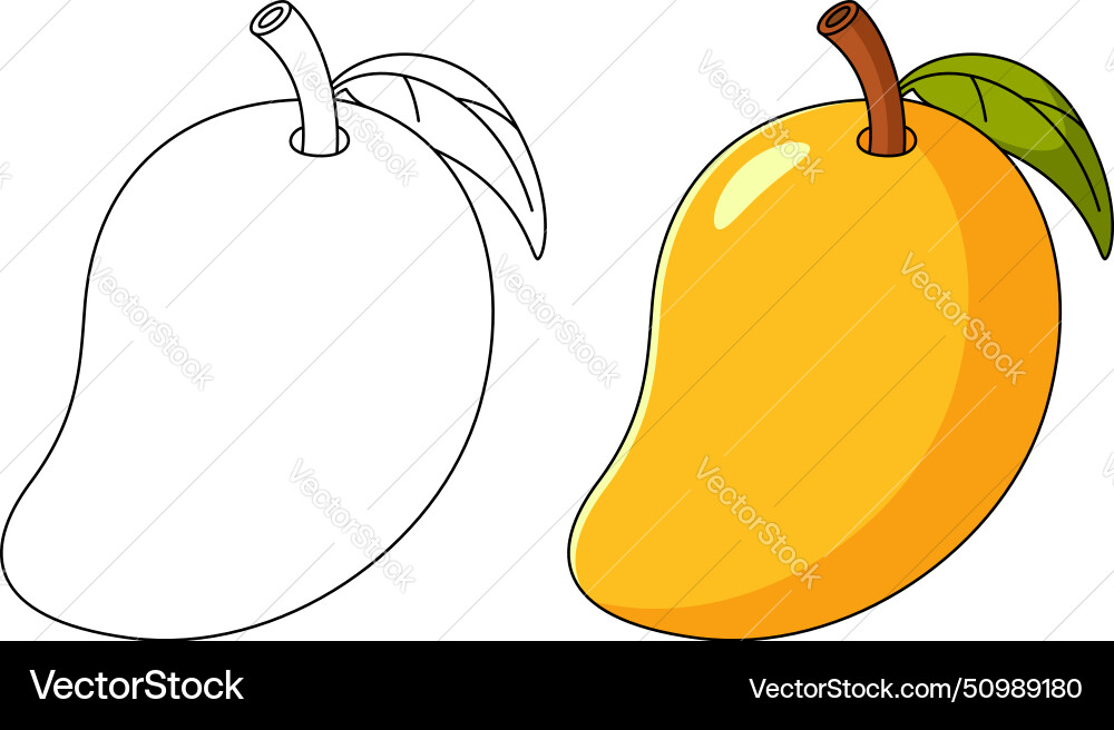 Mango isolated hand drawn coloring page for kids Vector Image