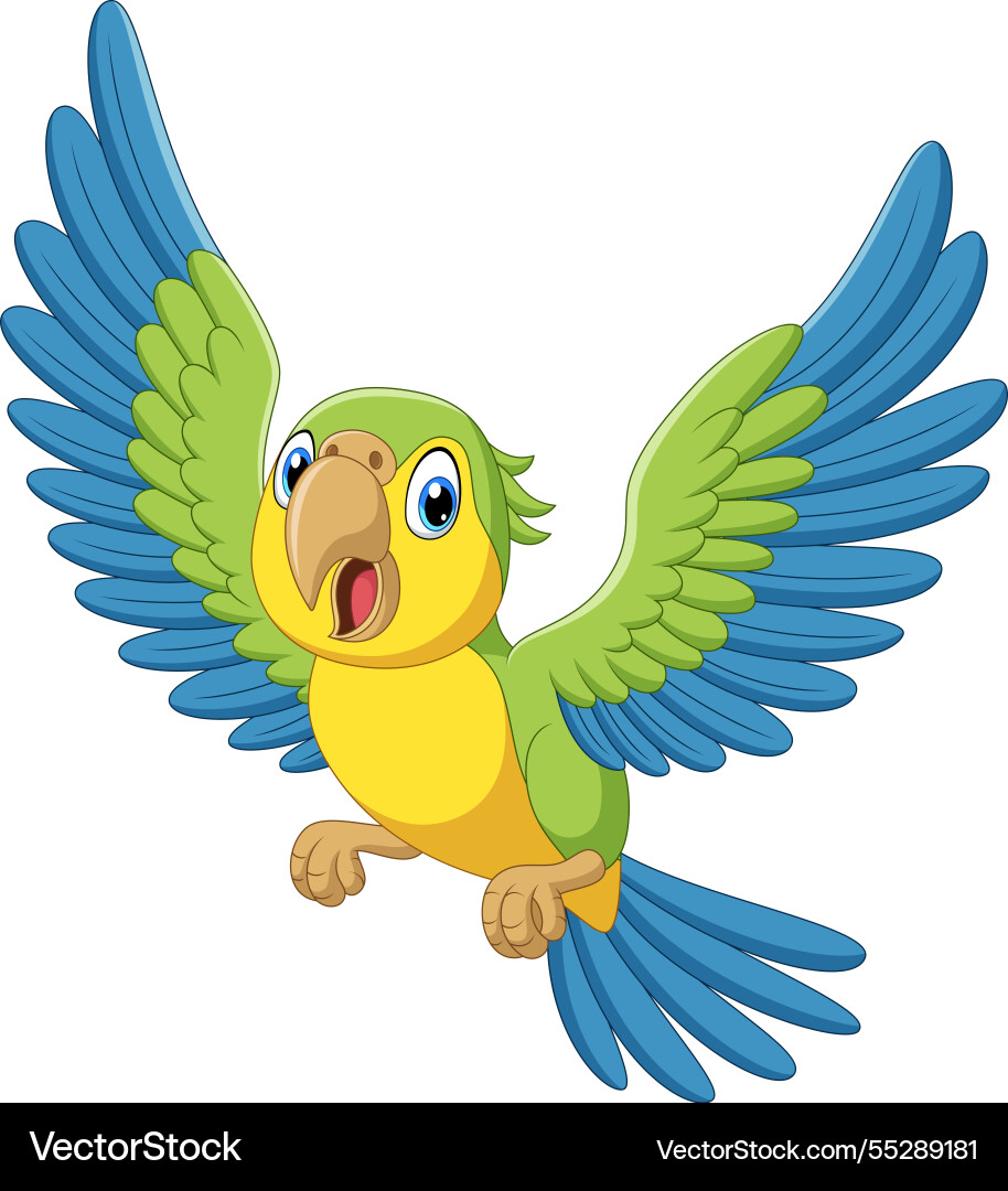 Flying Parrot Cartoon Images
