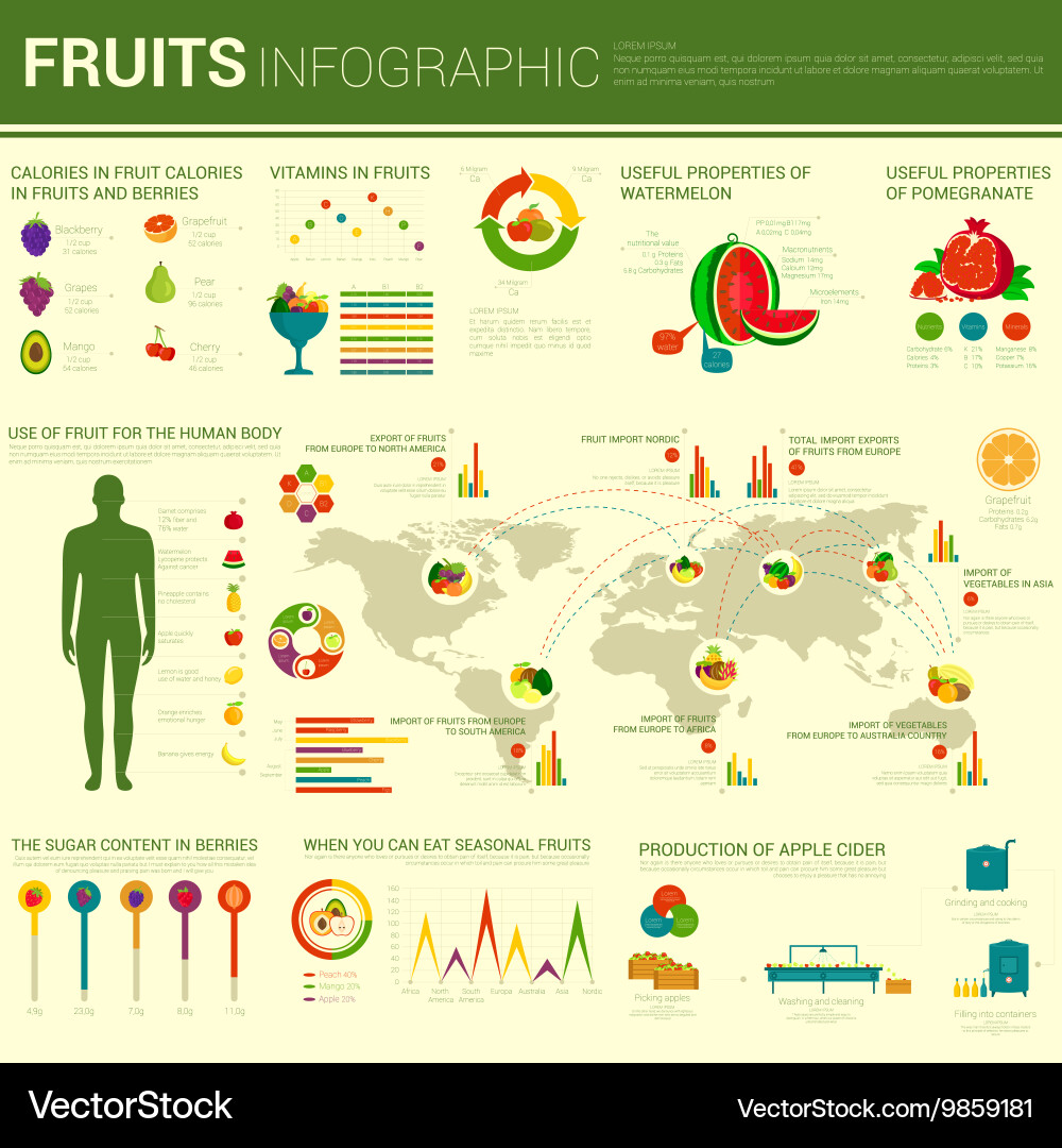 Fruits infographic design with different charts Vector Image
