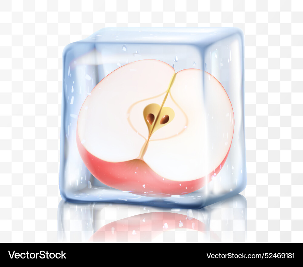 Half of fresh ripe apple in ice cube isolated Vector Image