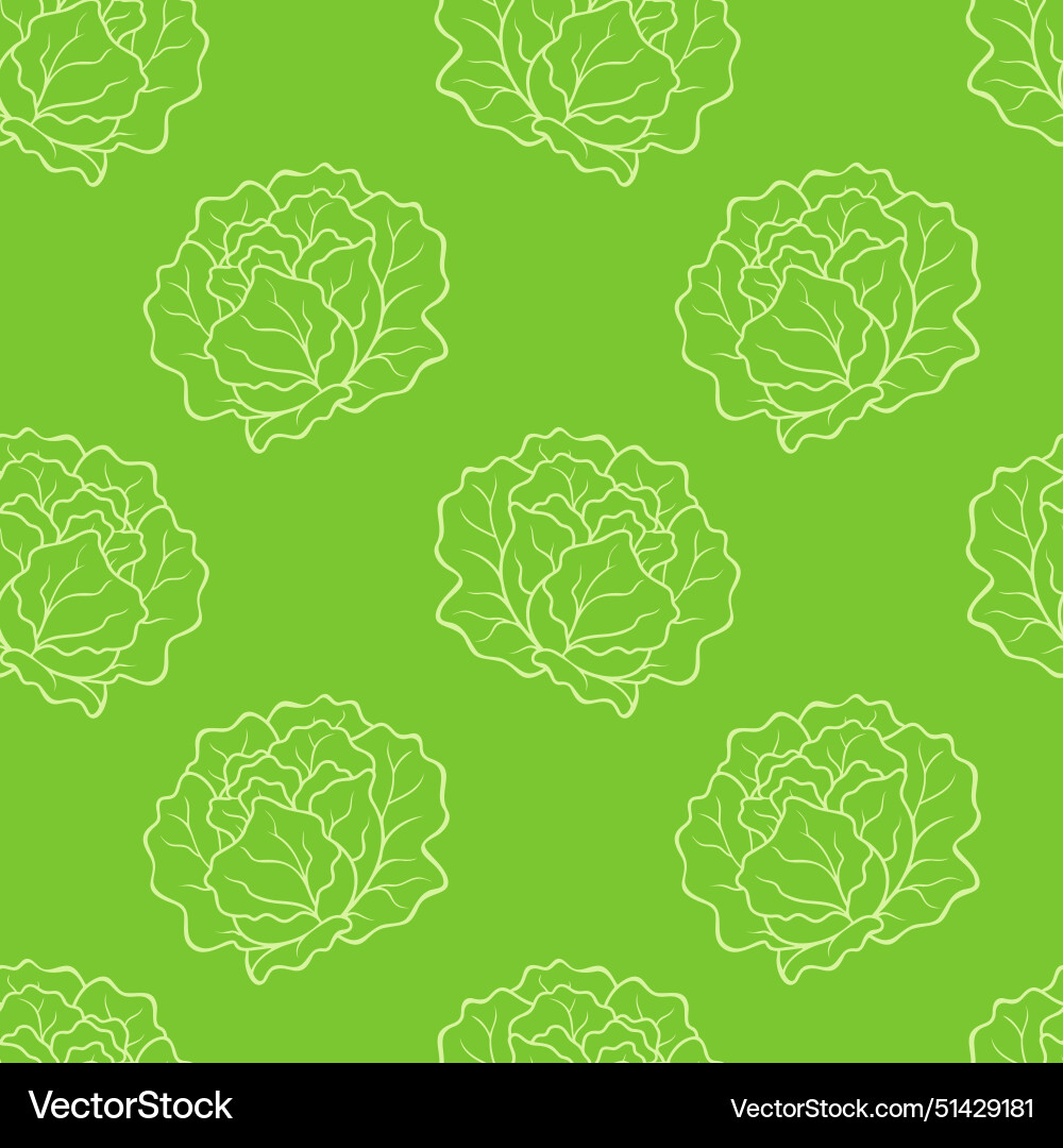 Pattern fresh green organic lettuce salad healthy Vector Image