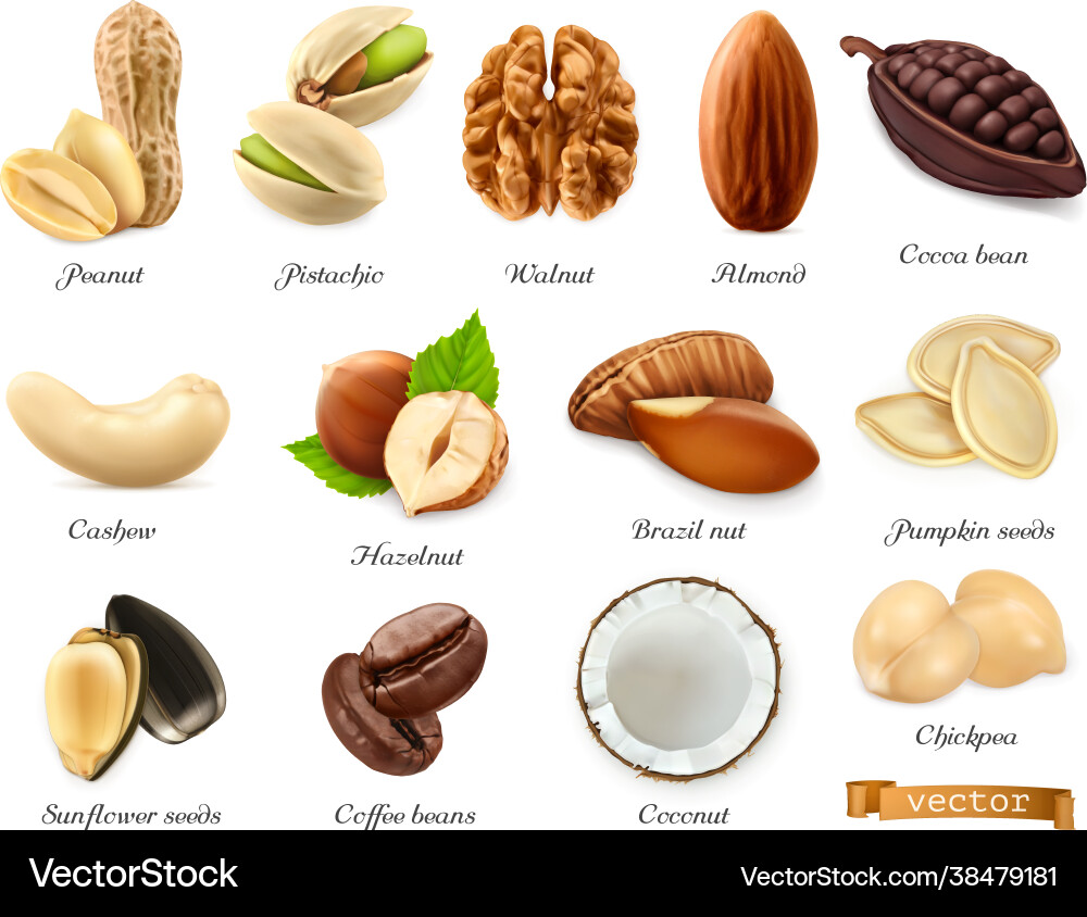 Realistic Nuts and Seeds Collection Royalty Free Vector