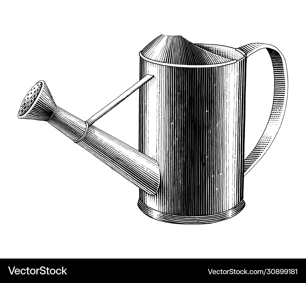 Vintage water can hand drawing engraving black Vector Image