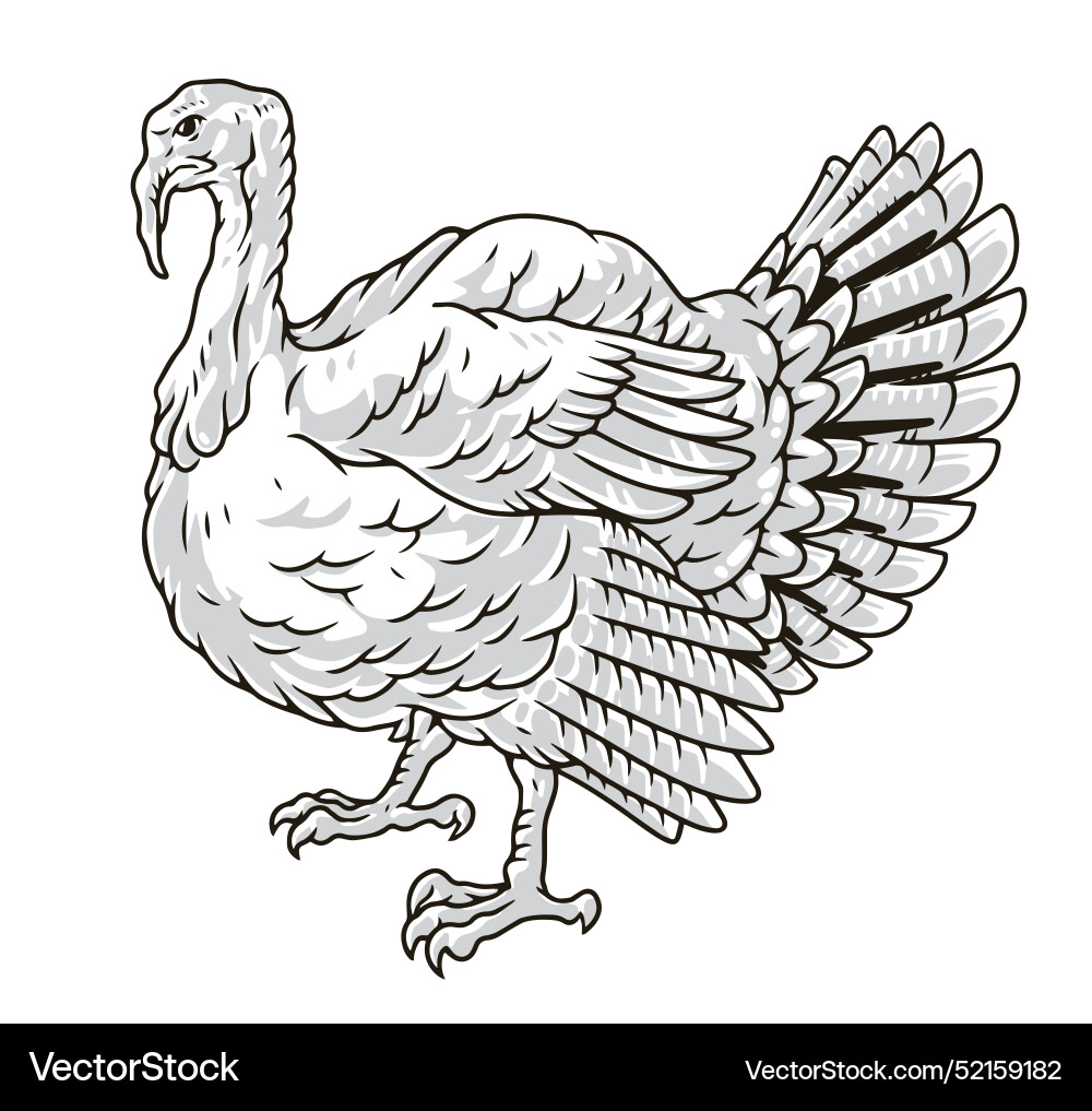 Angry turkey detailed sticker monochrome Vector Image