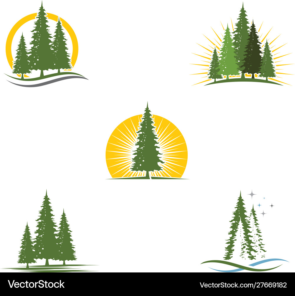 Cedar tree logo template Royalty Free Vector Image