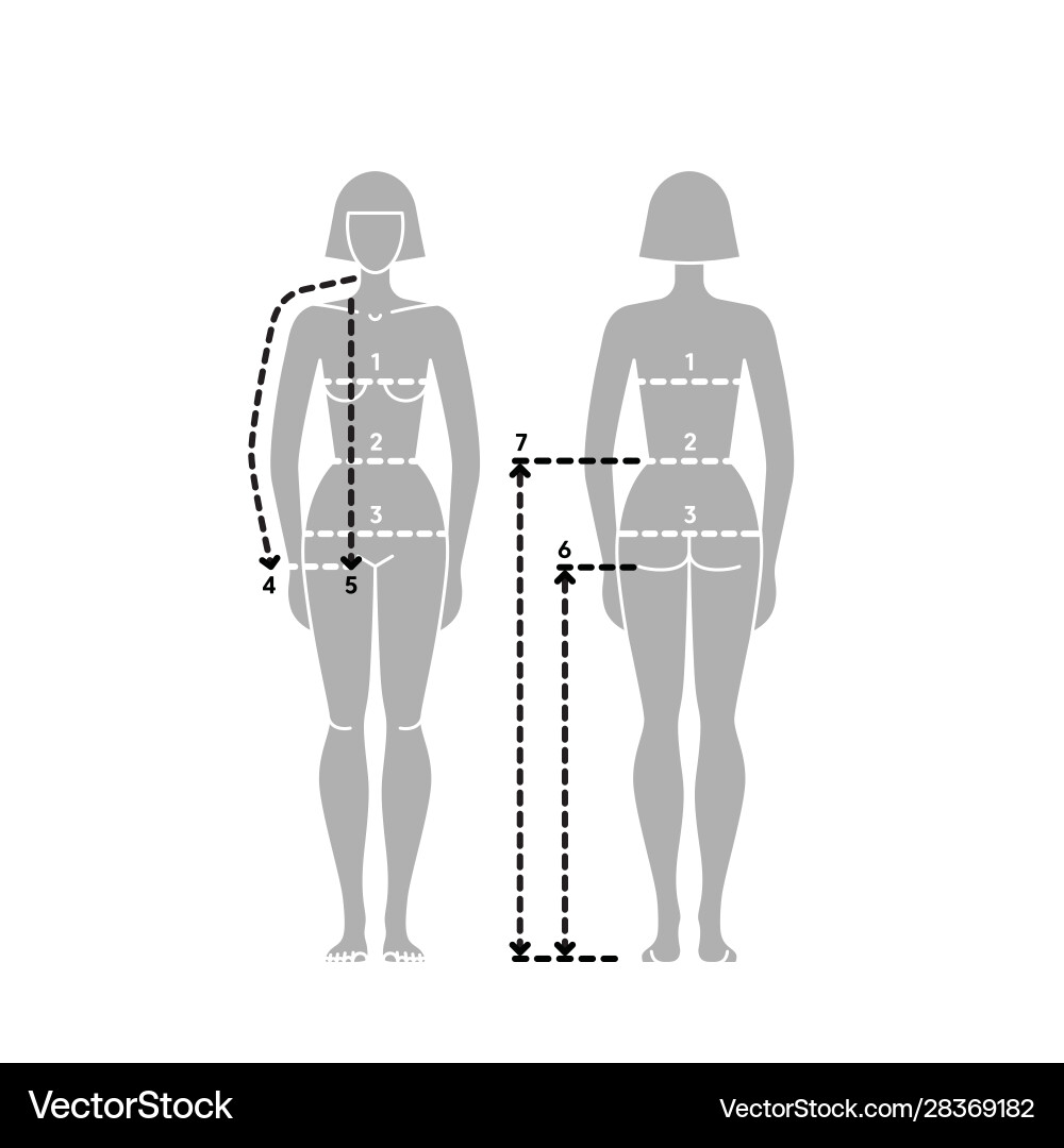 Woman body measurement chart taking Royalty Free Vector