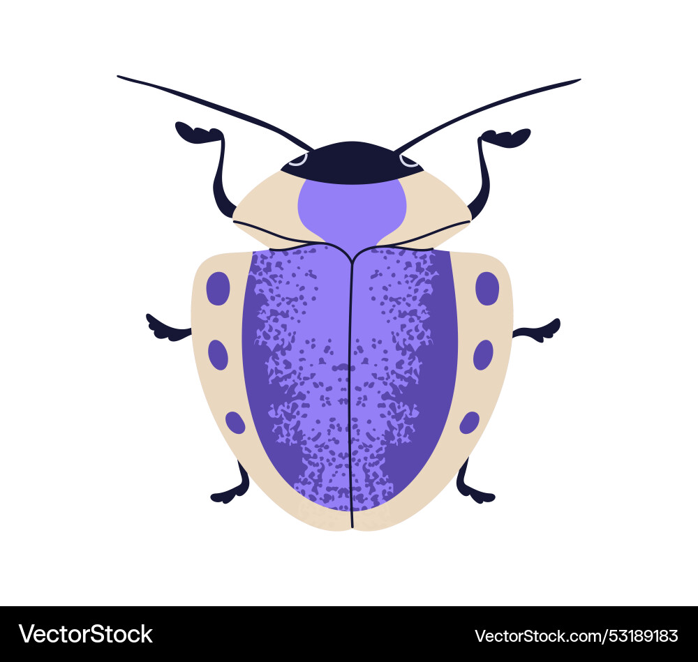 Fancy beetle fantasy bug with antenna top view Vector Image