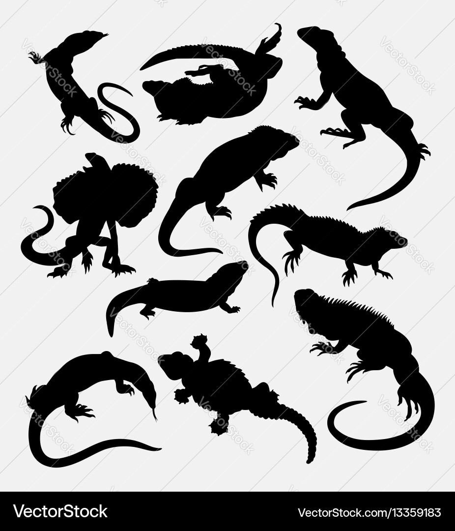 Lizard reptilian animal silhouette Royalty Free Vector Image