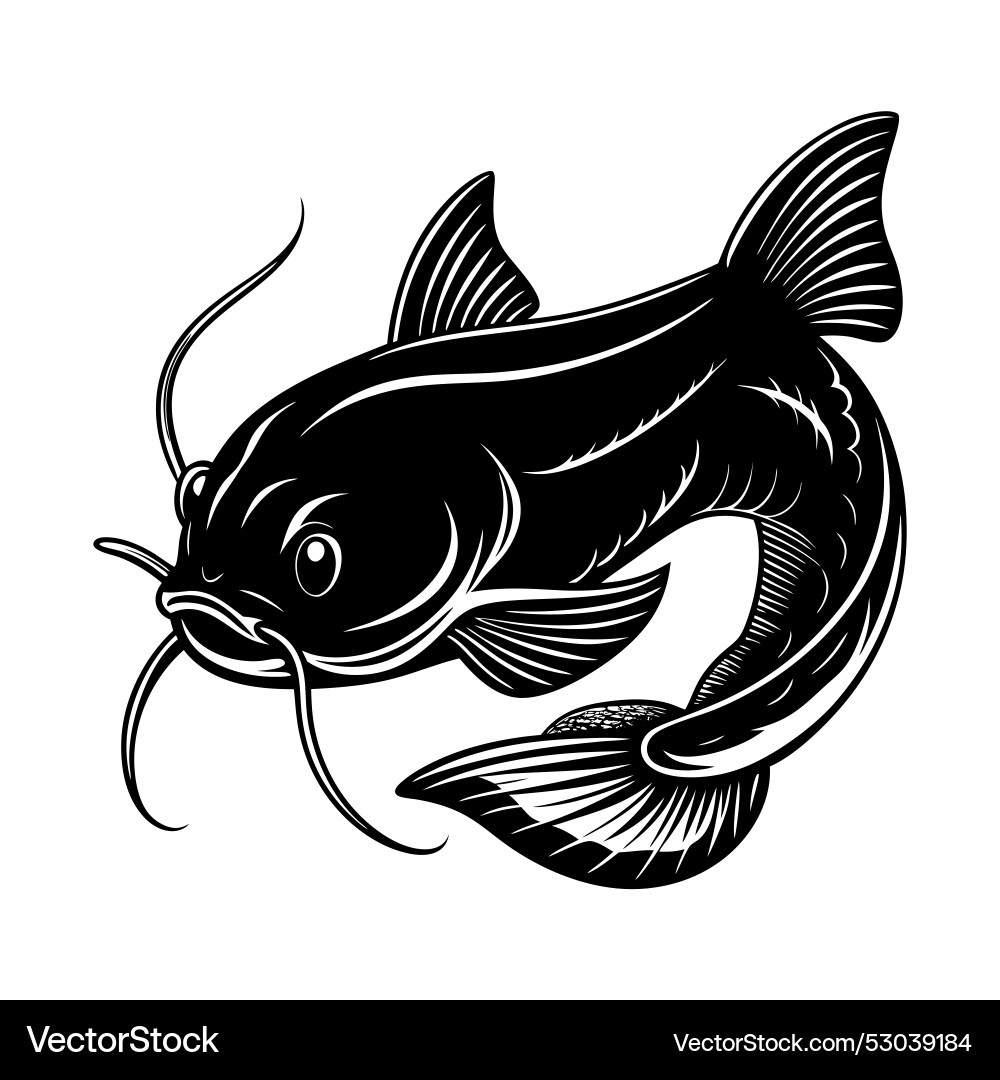 Catfish silhouette design on white background Vector Image
