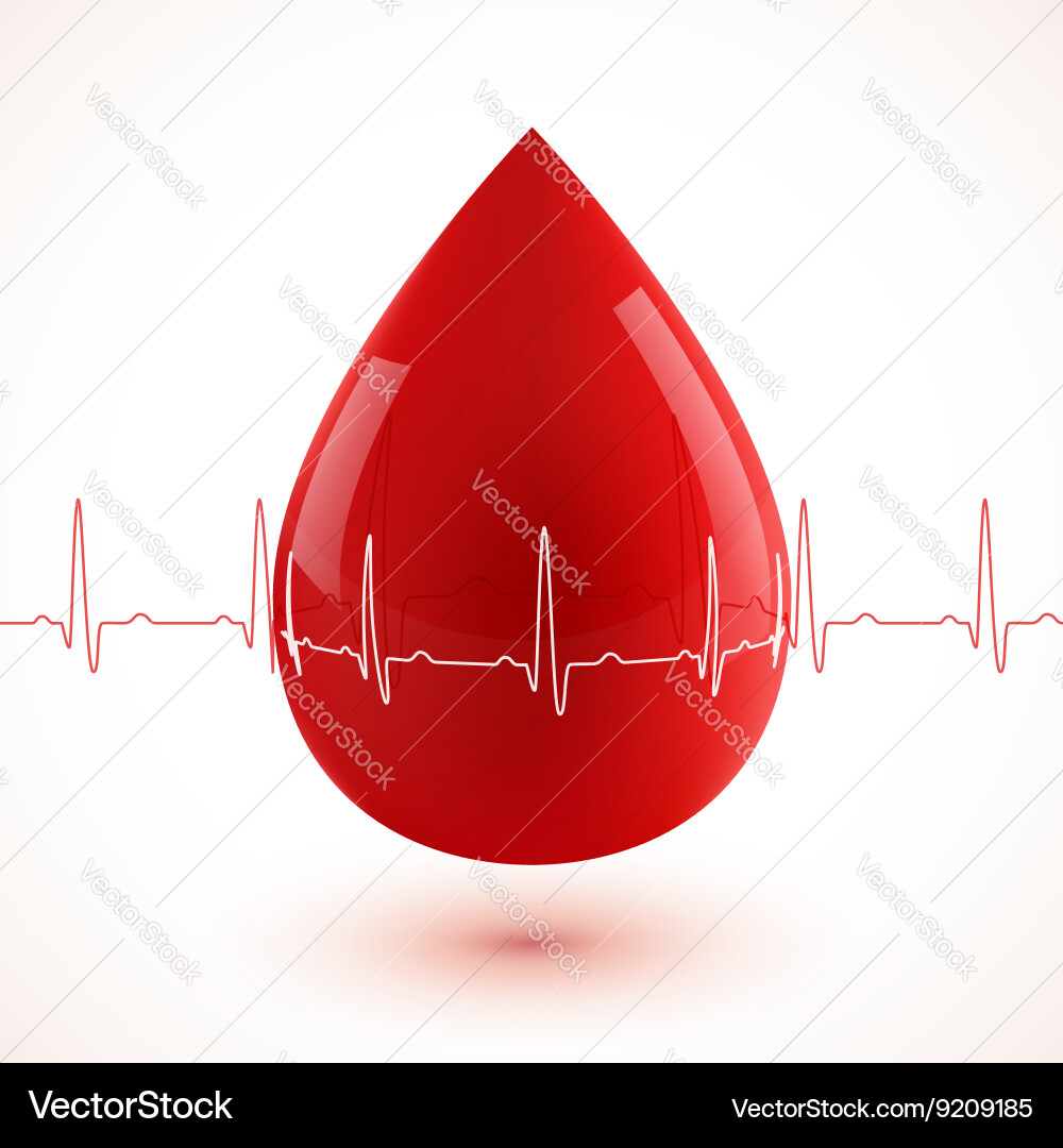 Red glossy 3d blood drop with cardiogram Vector Image