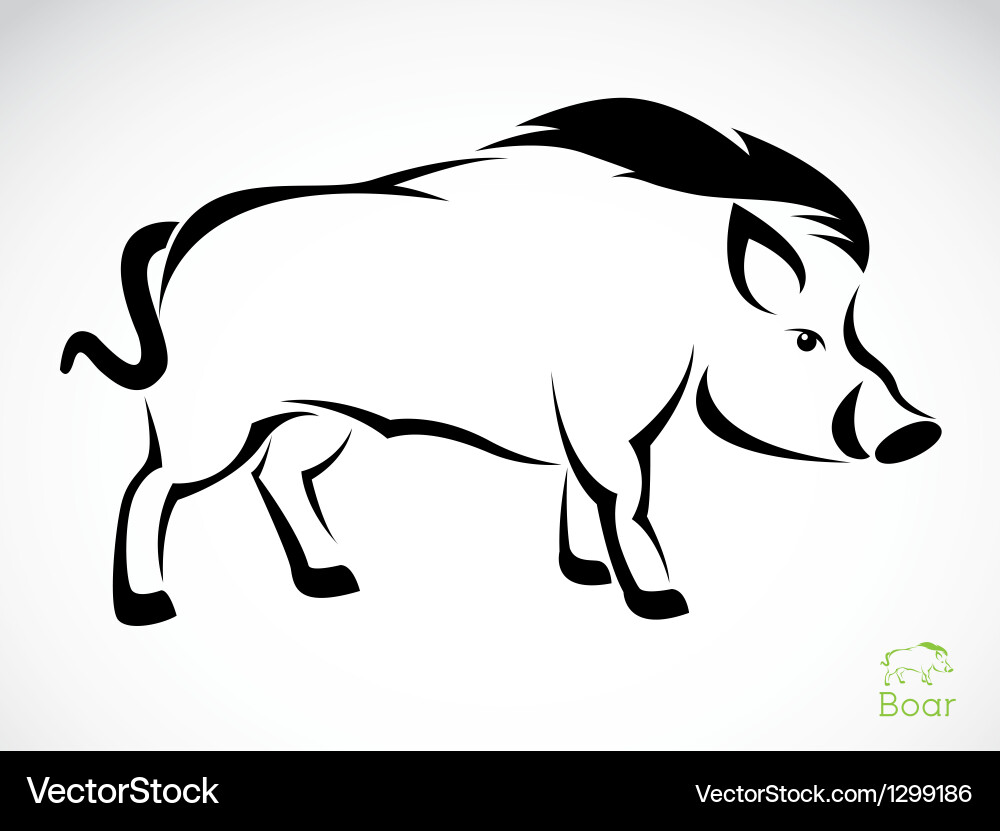 Boar Royalty Free Vector Image - VectorStock