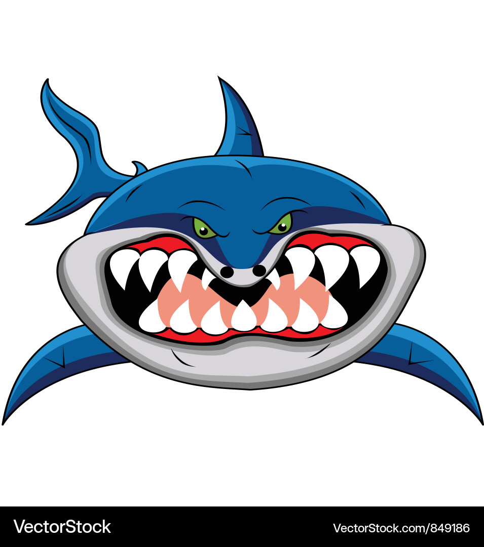 Shark cartoon Royalty Free Vector Image - VectorStock