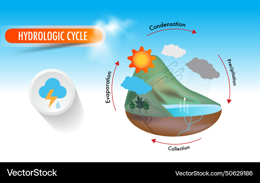 Water cycle circulation Royalty Free Vector Image