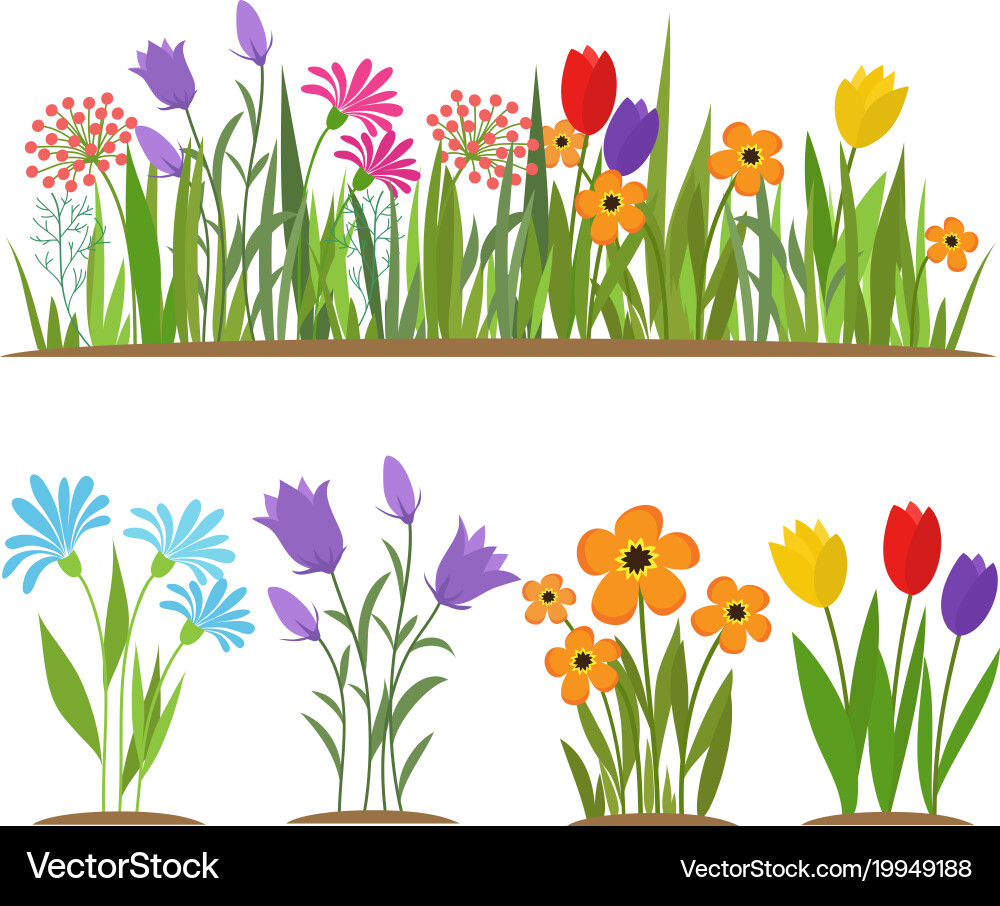 Early spring forest and garden flowers isolated Vector Image