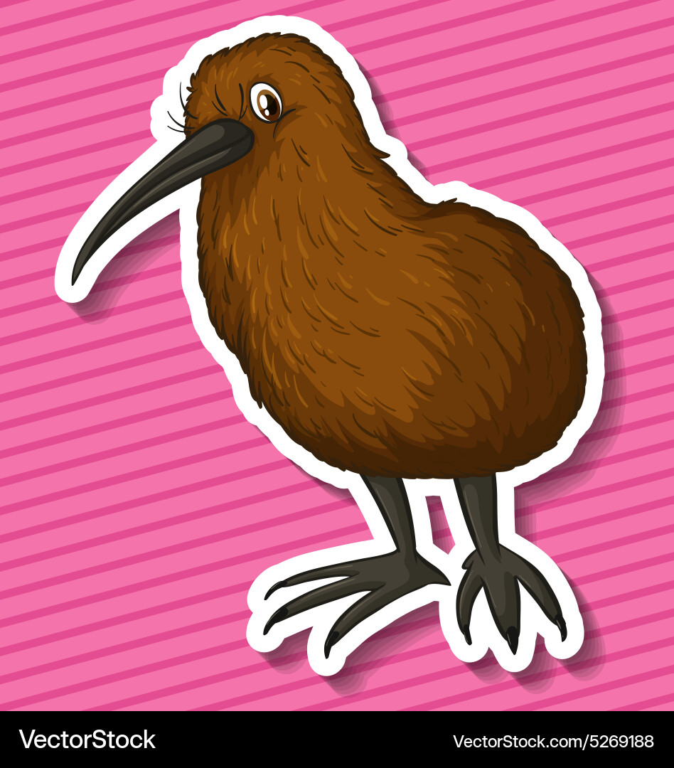 Kiwi bird Royalty Free Vector Image - VectorStock