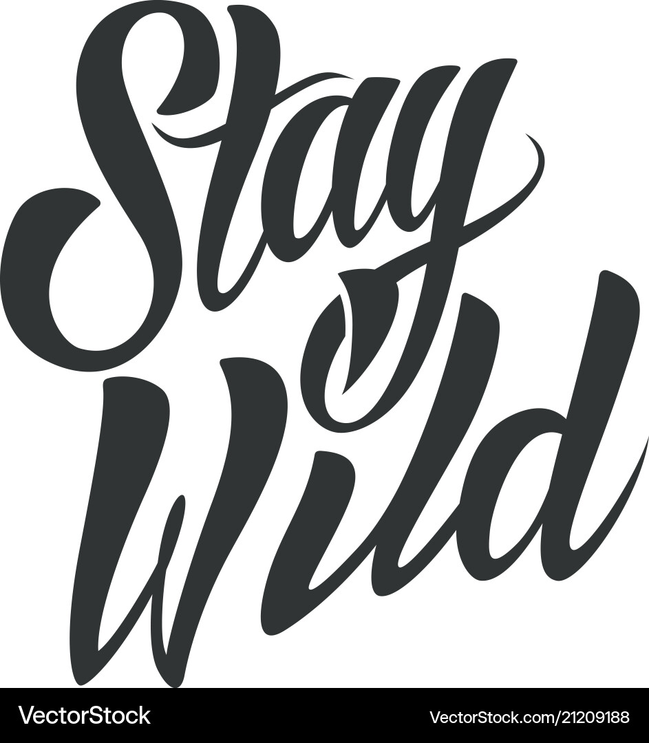 Stay wild lettering Royalty Free Vector Image - VectorStock