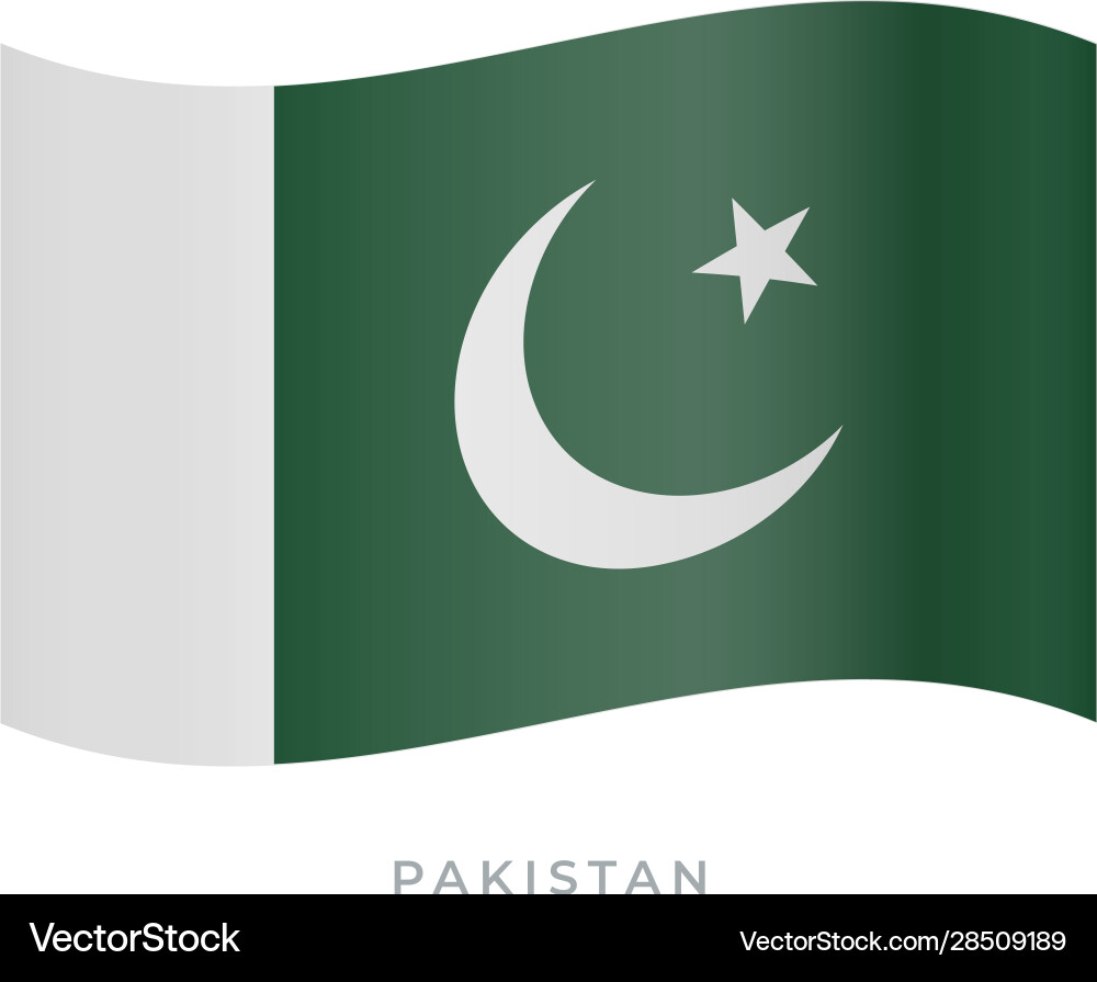Pakistan waving flag icon Royalty Free Vector Image