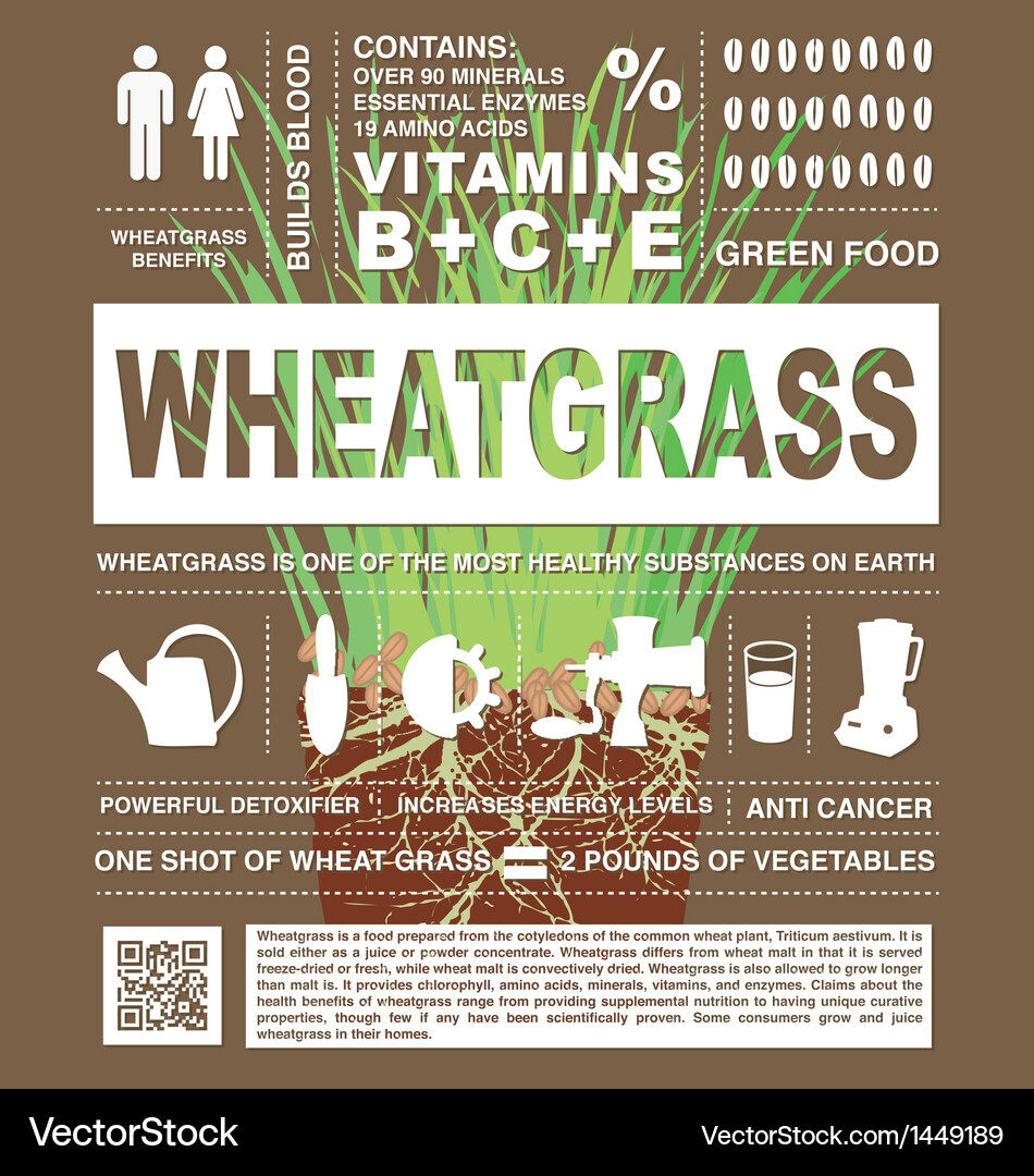 Wheatgrass Icon Vector Images (57)