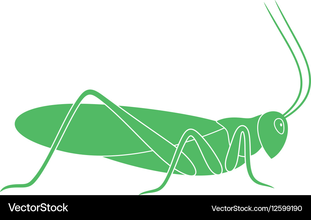 Grasshopper Royalty Free Vector Image - VectorStock