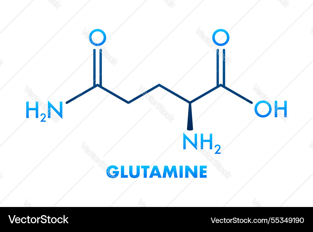 Skeletal formula of glutamine chemical structure Vector Image