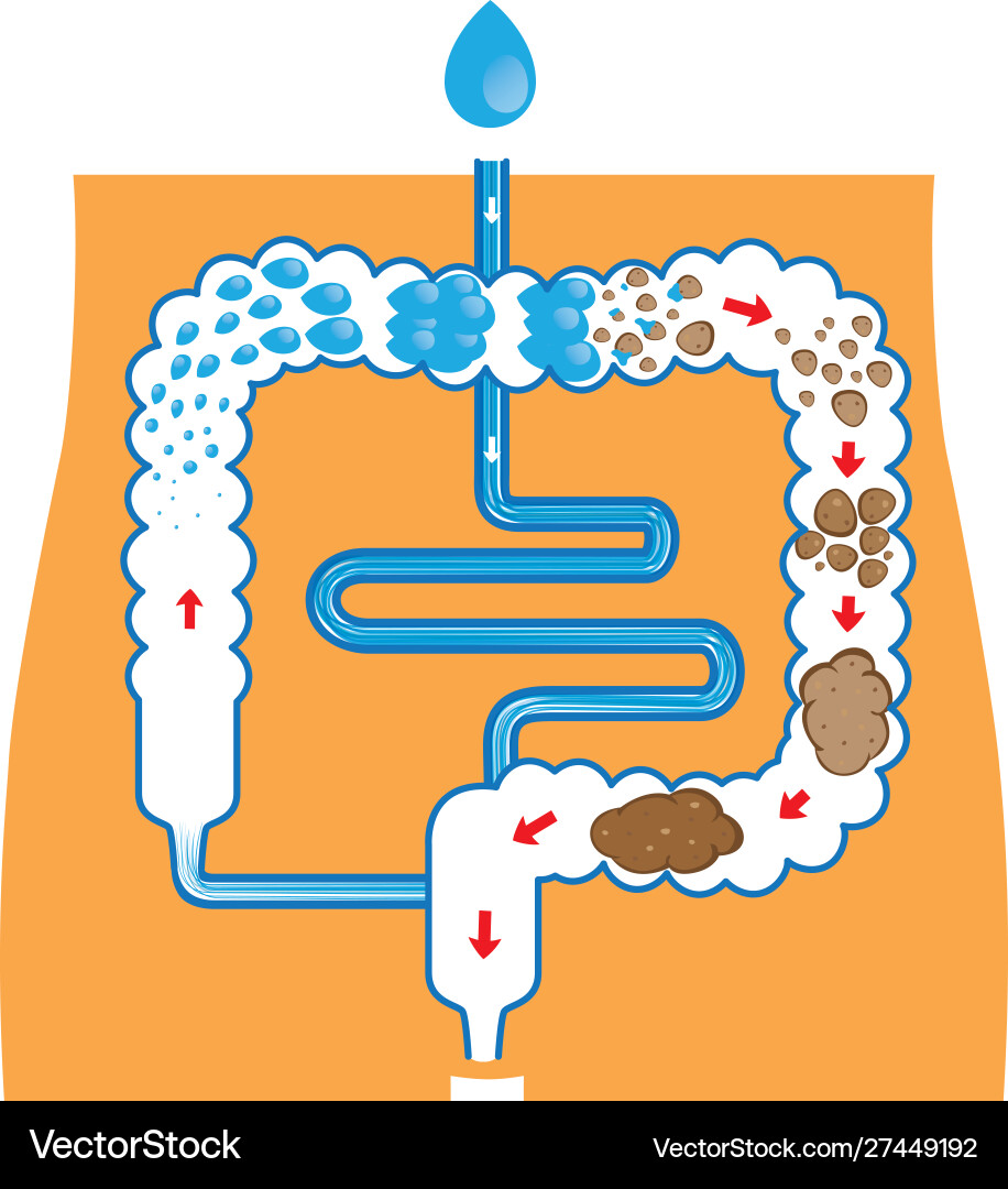 Bolu Vector Images (over 100)