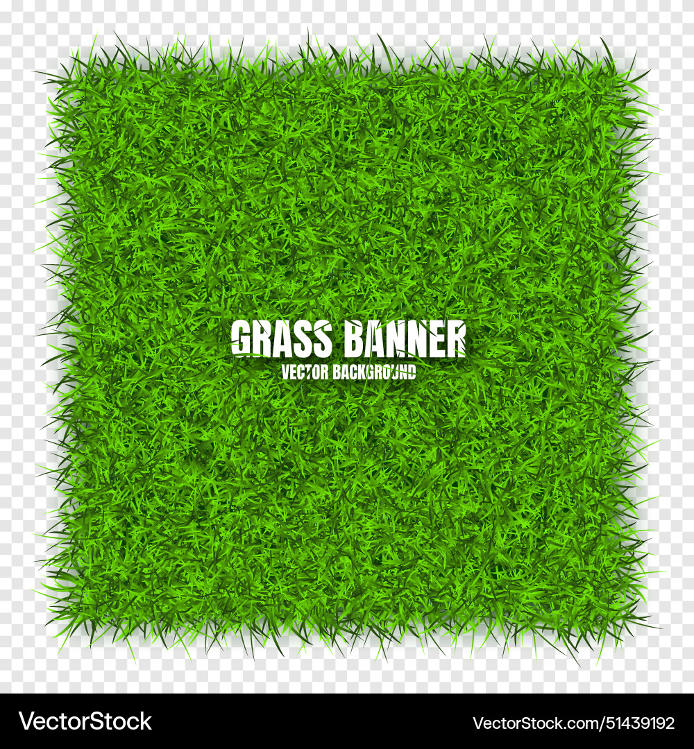 Green grass banners background field meadow Vector Image