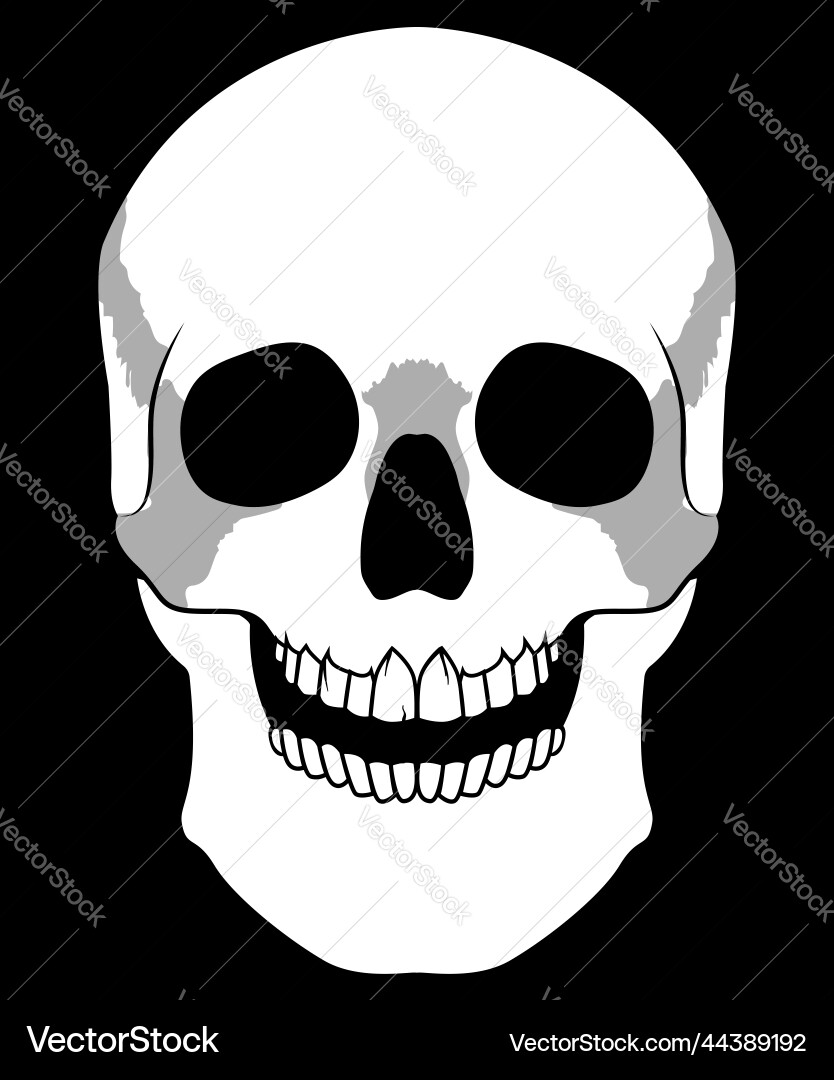 Human skull face Royalty Free Vector Image - VectorStock