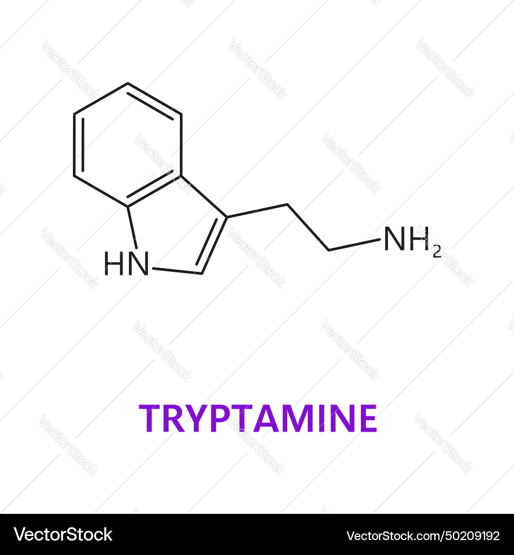 Neurotransmitter tryptamine chemical formula Vector Image
