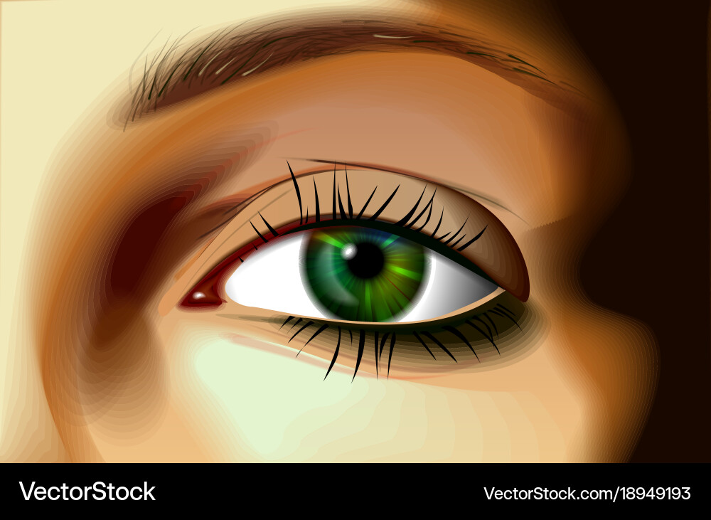 Eye Royalty Free Vector Image - VectorStock