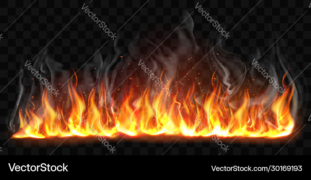 Realistic burning fire flames with smoke Vector Image