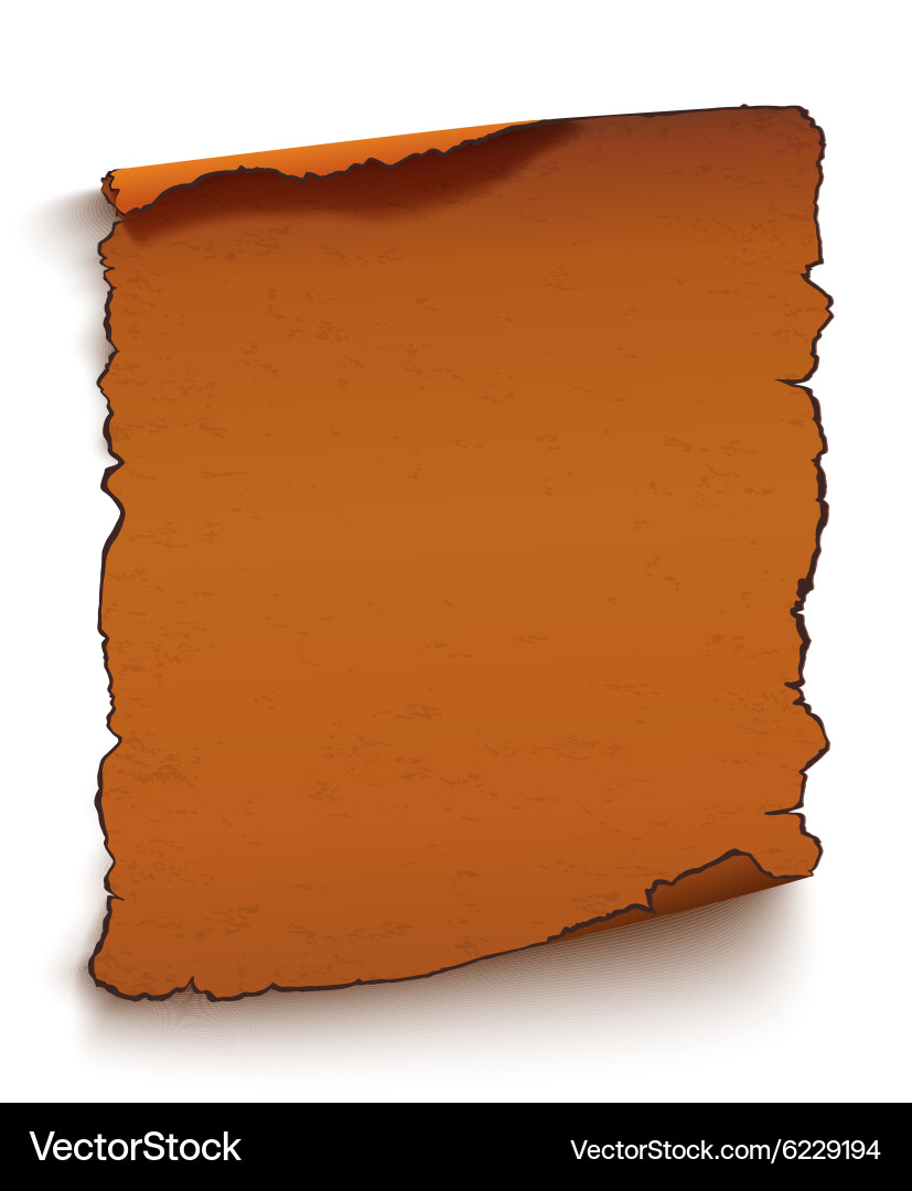 Orange scroll isolated on white background Vector Image