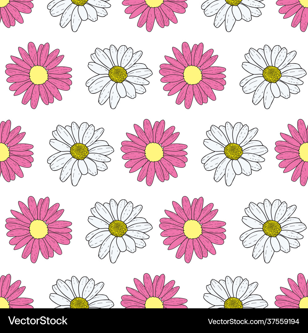 Pink Daisy Flower Pattern Royalty Free Vector Image