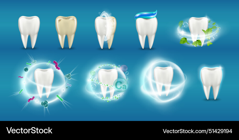 Teeth protection toothpaste and bacteria effect Vector Image