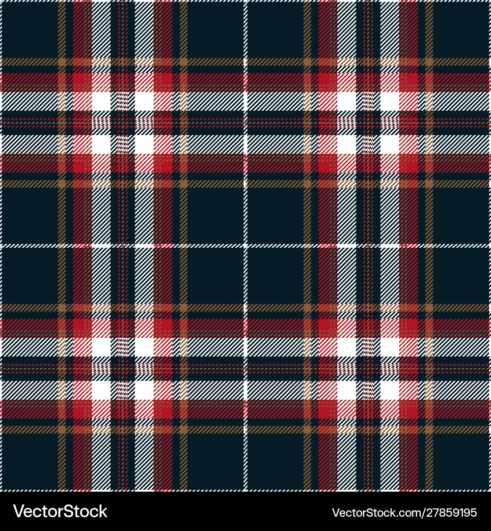 Blue and red tartan plaid scottish pattern Vector Image