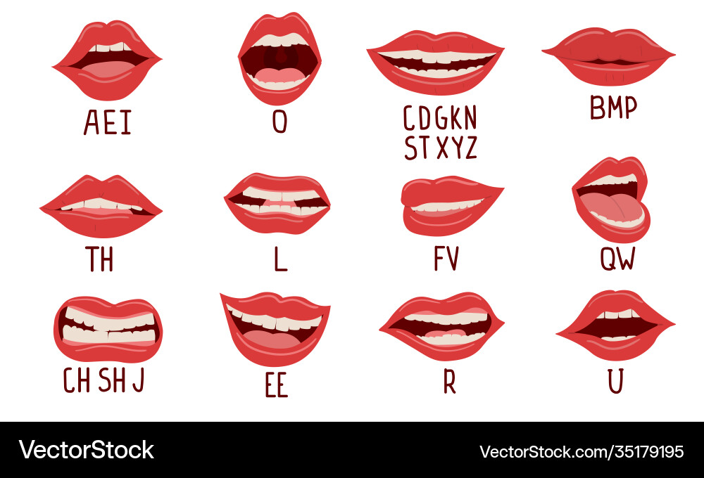 Lip Shape & Speech Articulation Royalty Free Vector