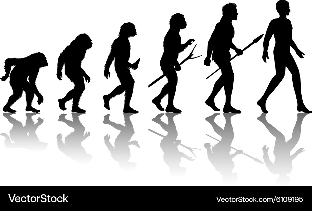 Man evolution Royalty Free Vector Image - VectorStock