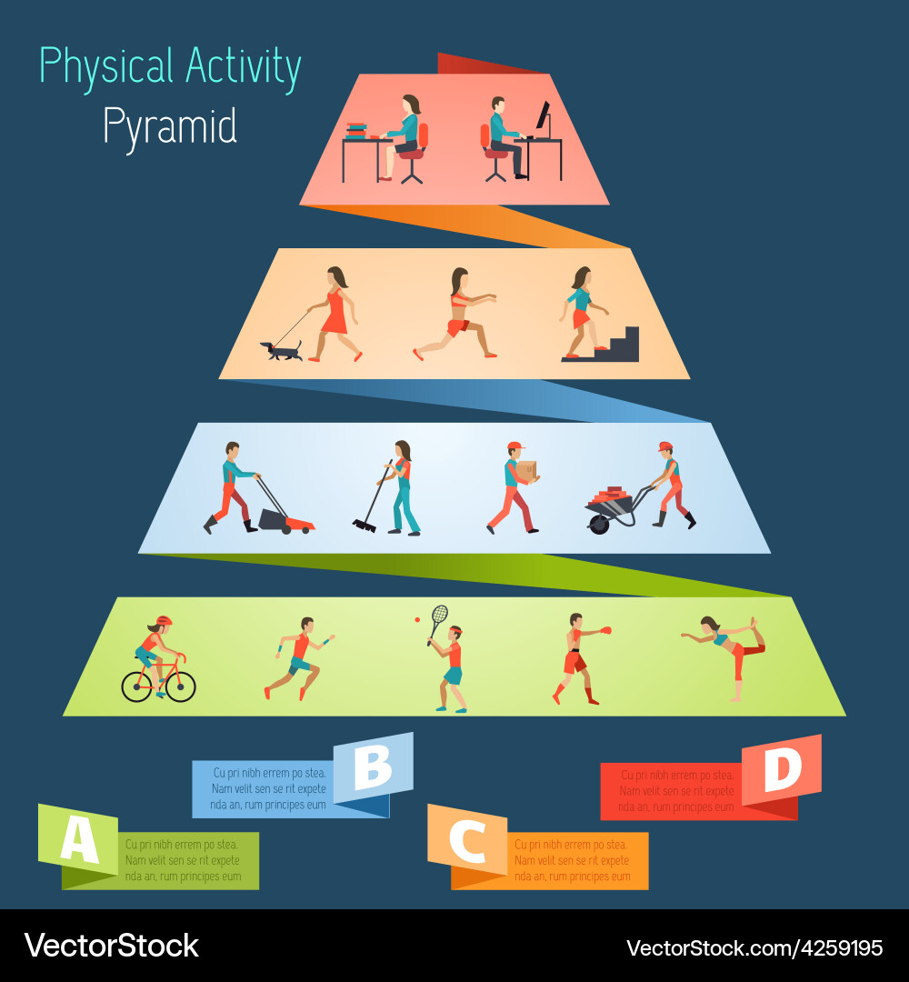 Physical activity pyramid infographics Royalty Free Vector