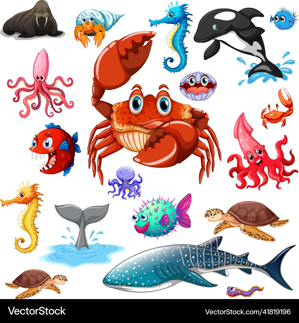 Different types of sea animals Royalty Free Vector Image