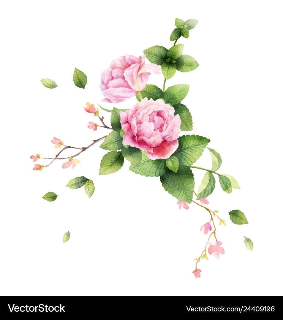 Watercolor hand painting Royalty Free Vector Image