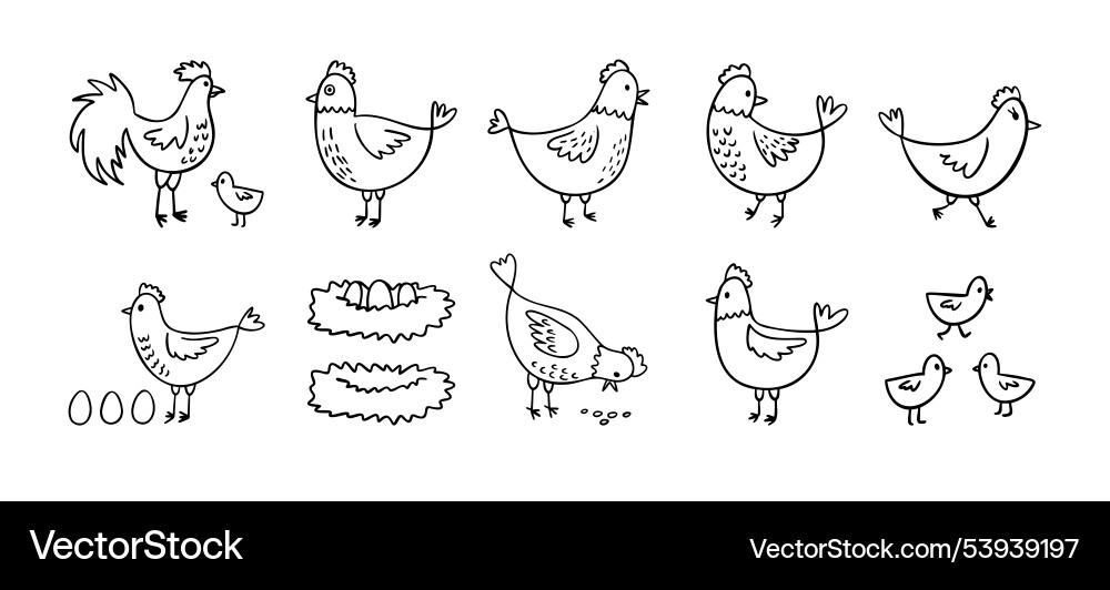 Adorable Chicken Doodle Set Royalty Free Vector Image